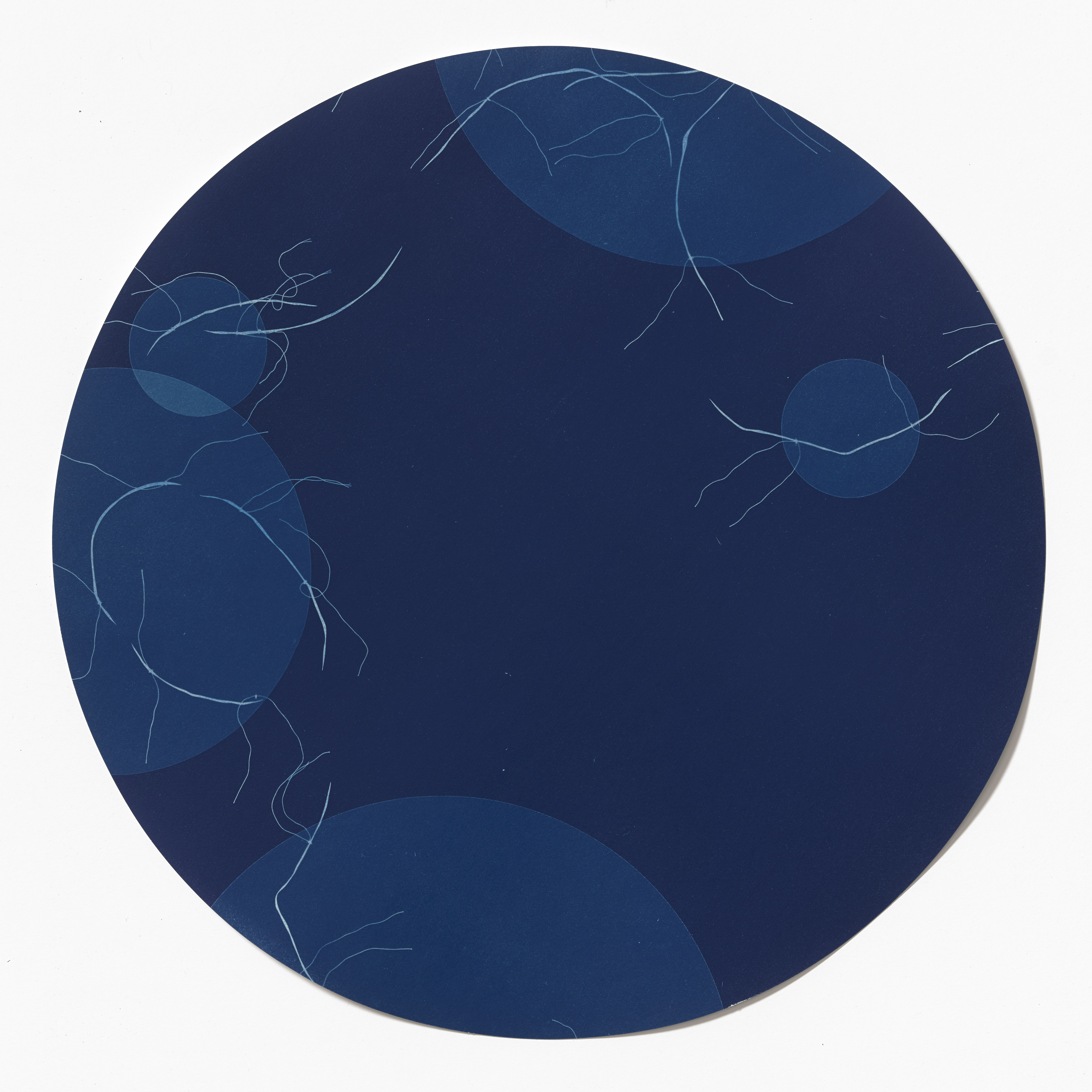 Blueprint | Sarah Kate Ritchie