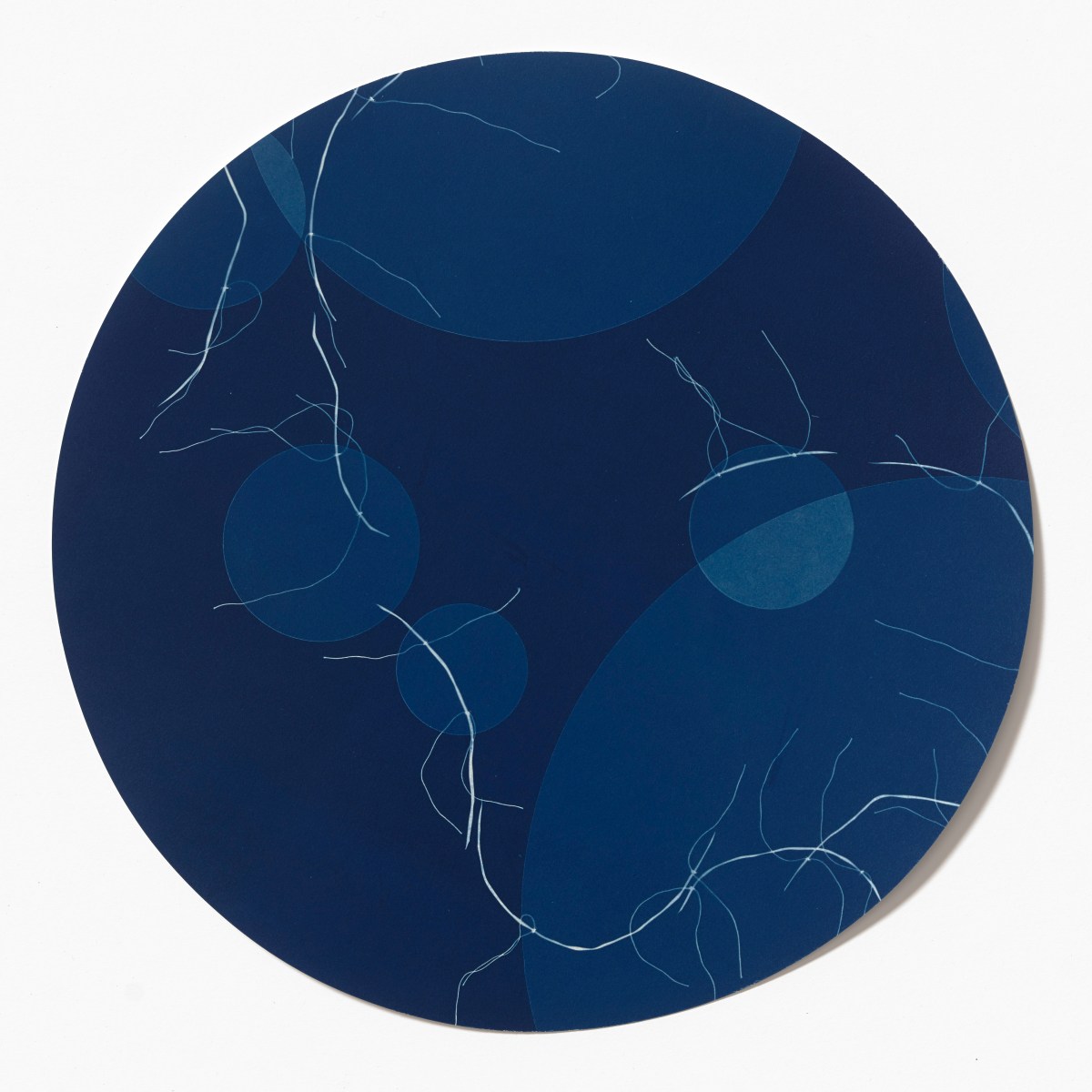 Blueprint | Sarah Kate Ritchie