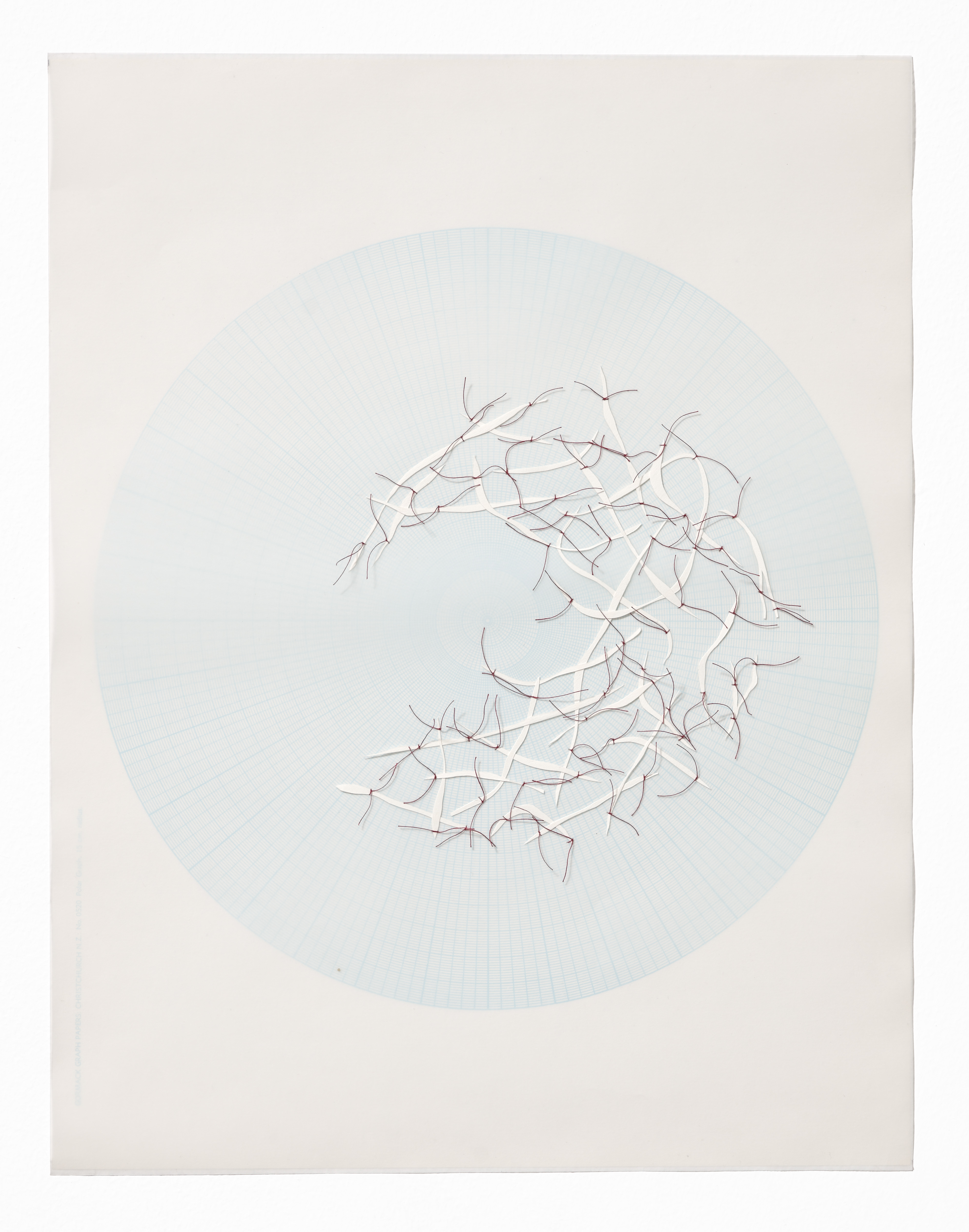 Untitled (polar graph) – panel details | Sarah Kate Ritchie