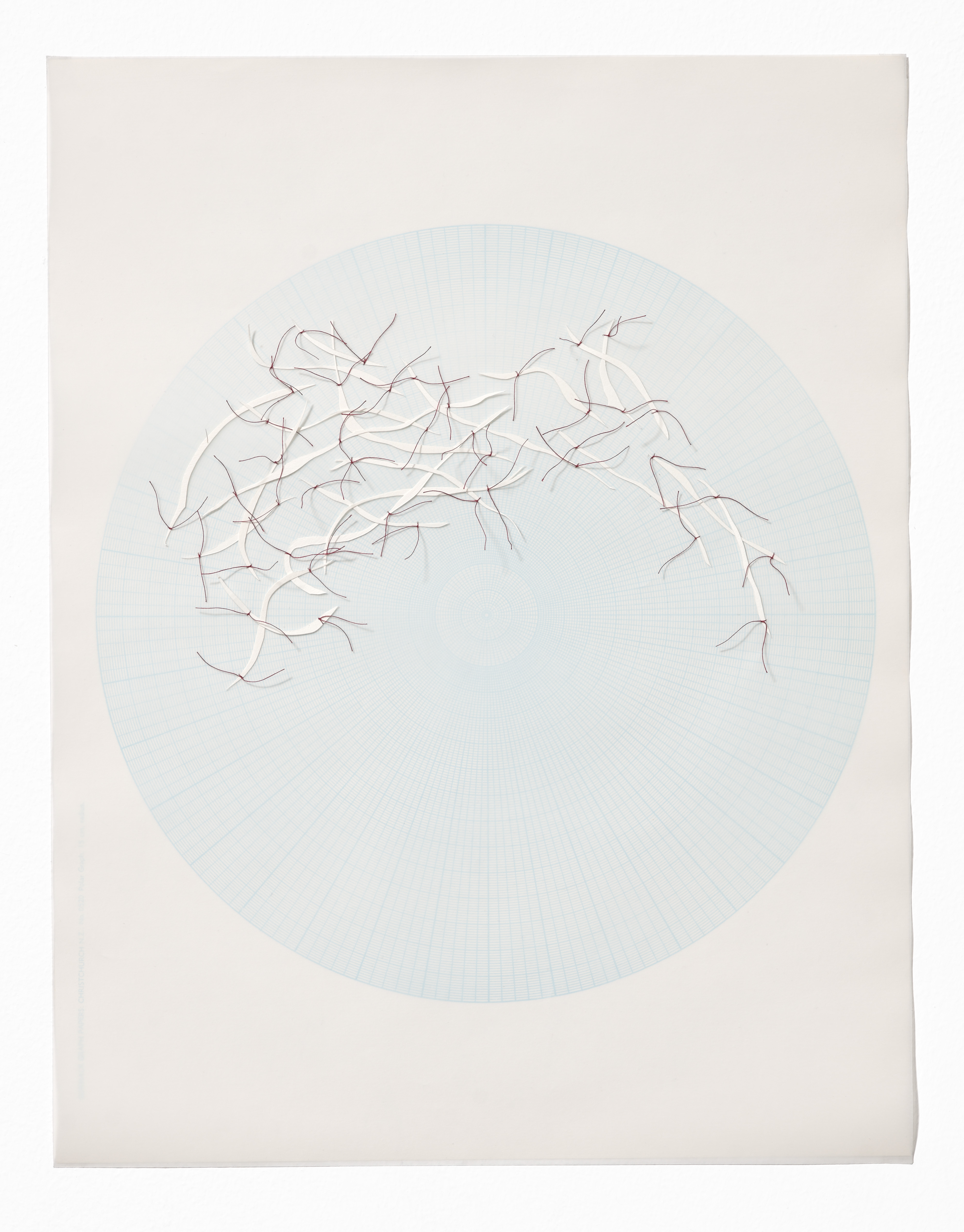 Untitled (polar graph) – panel details | Sarah Kate Ritchie
