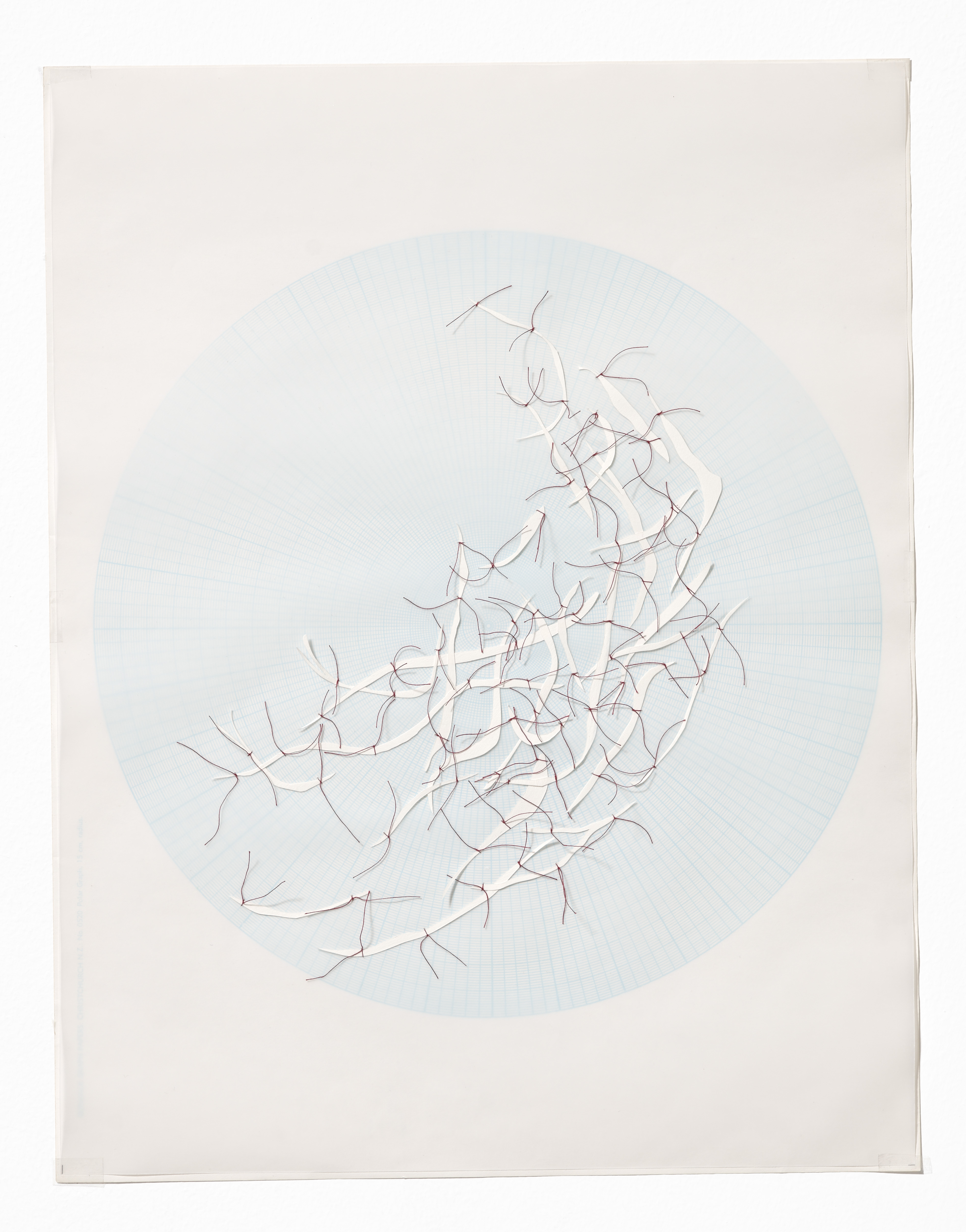 Untitled (polar graph) – panel details | Sarah Kate Ritchie