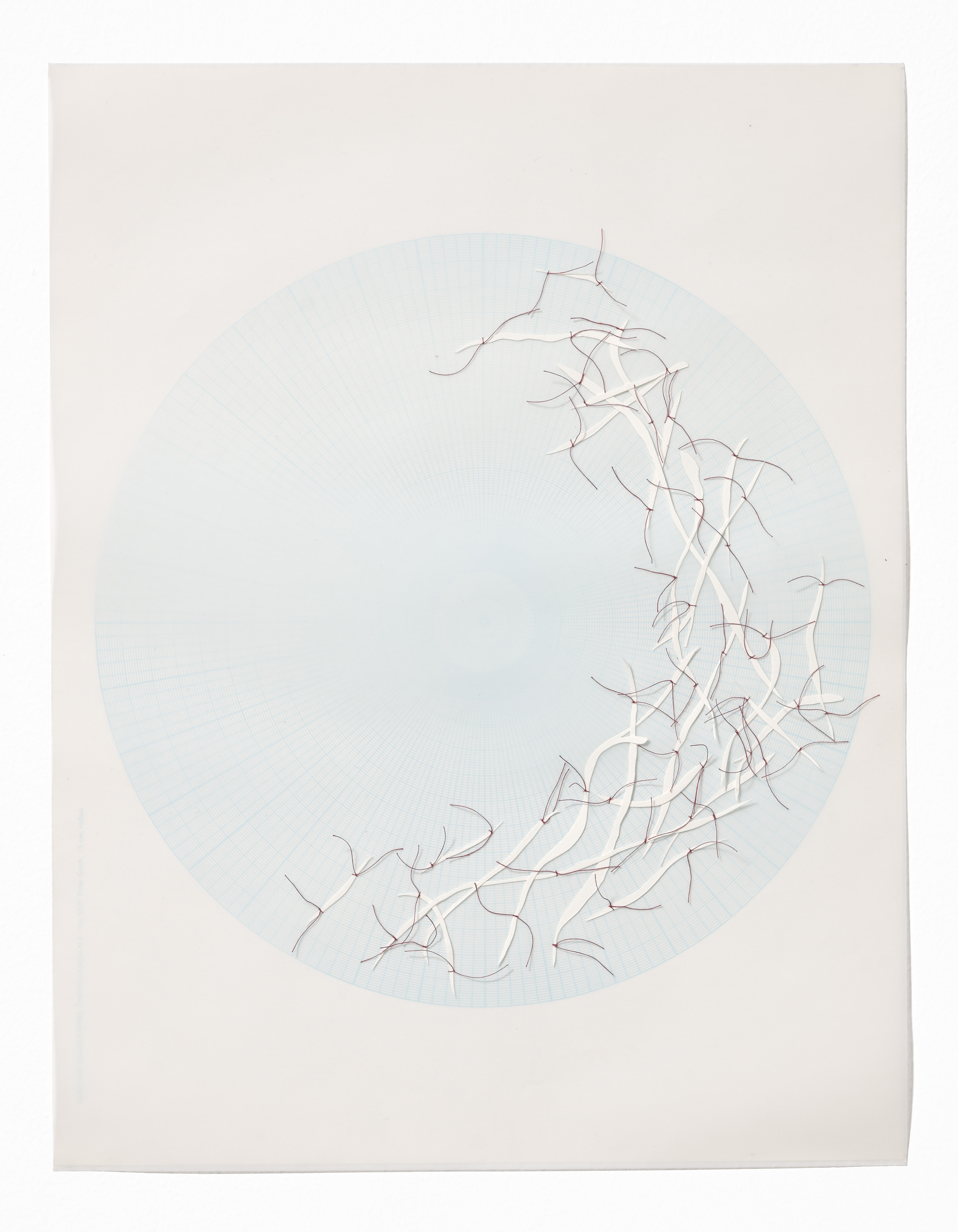 Untitled (polar graph) – panel details | Sarah Kate Ritchie