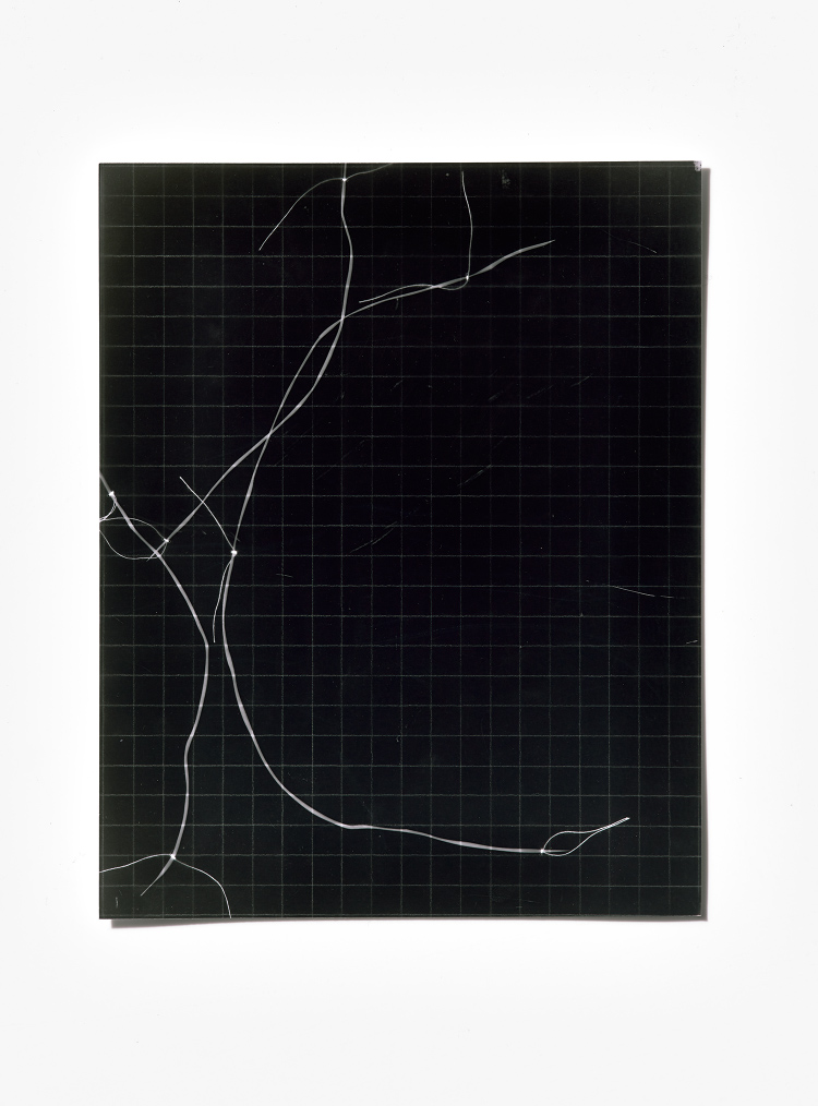 Untitled (written with light) | Sarah Kate Ritchie