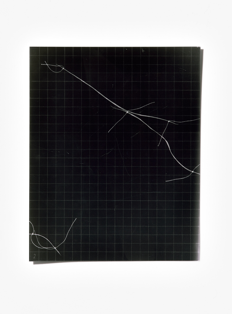 Untitled (written with light) | Sarah Kate Ritchie