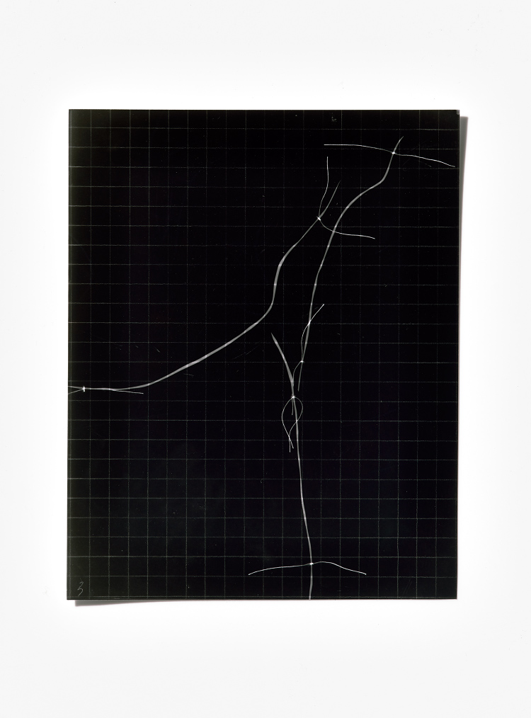 Untitled (written with light) | Sarah Kate Ritchie