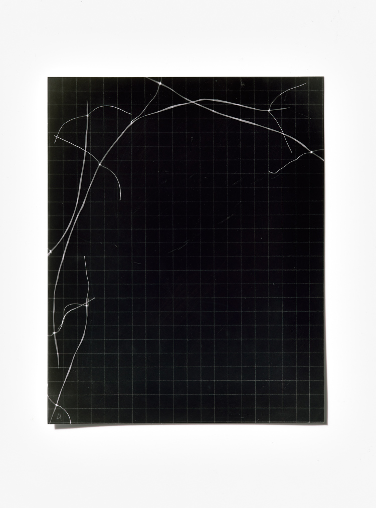 Untitled (written with light) | Sarah Kate Ritchie