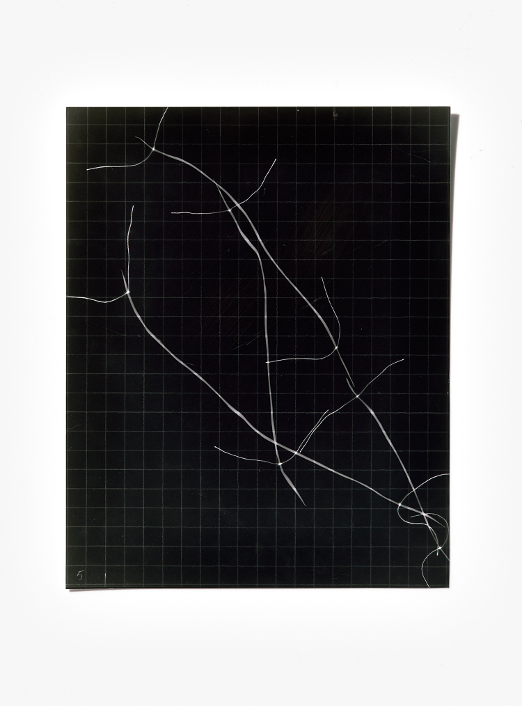 Untitled (written with light) | Sarah Kate Ritchie