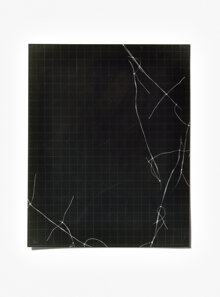 Untitled (written with light) | Sarah Kate Ritchie