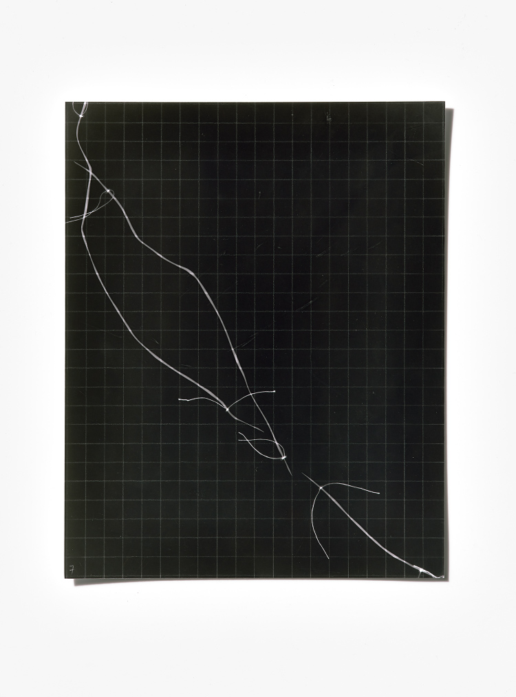 Untitled (written with light) | Sarah Kate Ritchie