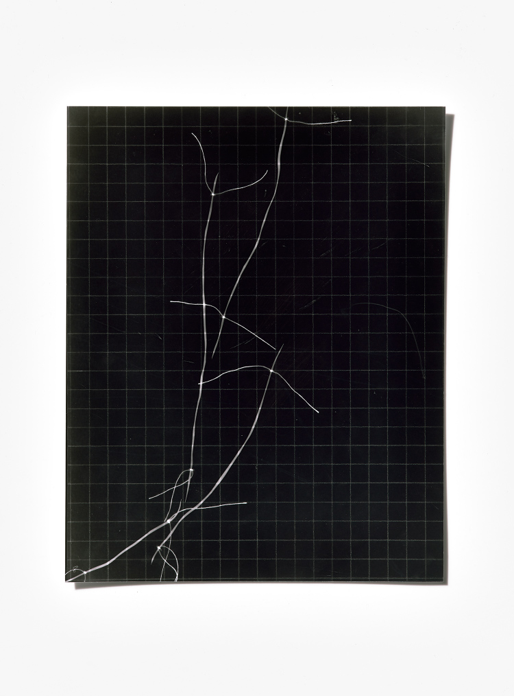 Untitled (written with light) | Sarah Kate Ritchie
